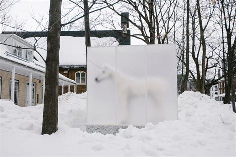 Mathieu Valade Manif Dart 8 2017 Quebec City Canada