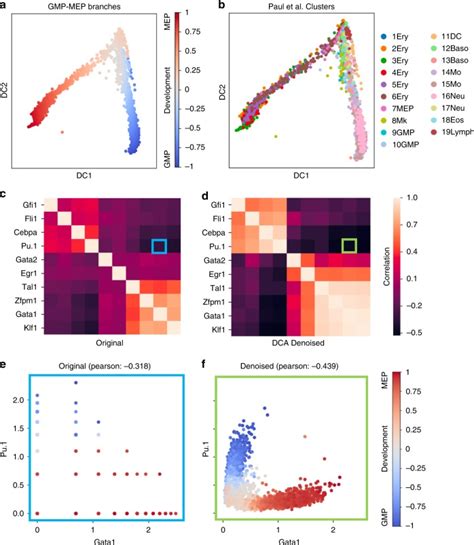 Single Cell Rna Seq Denoising Using A Deep Count Autoencoder