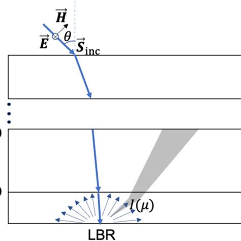 Representative Figure Showing Incident Te Polarized Coherent Collimated