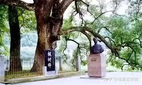 党史故事100讲之第10讲毛泽东上井冈山 知乎