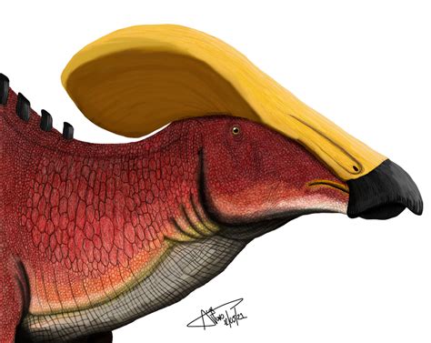 Tlatolophus Galorum By Ladalbarran2001 On Deviantart