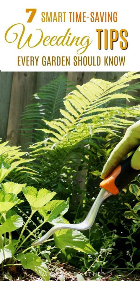 Garden Weeds And Herbicides Artofit