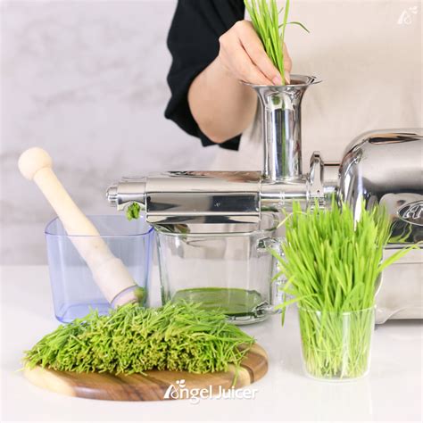Angel Juicer 8500 Wheatgrass Strainer Slowjuice Nl