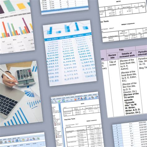 Analyze Your Data Using Spss And Excel By Annaa491 Fiverr