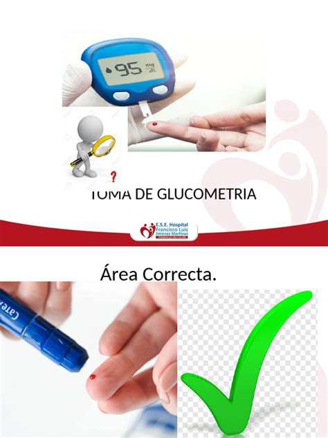 Guía De Toma De Glucometría Efectiva Pdf