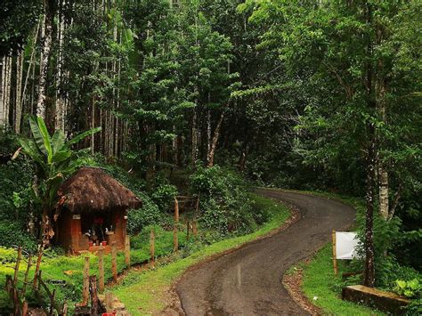 Top 8 Most Romantic Monsoon Destinations In India