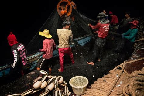 ‘sea Slaves The Human Misery That Feeds Pets And Livestock The New