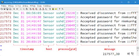 Filebeat Mapper Parsing Exception
