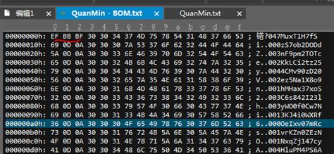 Utf 8编码中的bom问题带bom的utf 8编码 Csdn博客