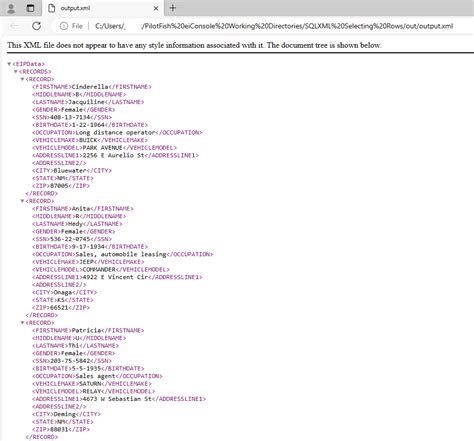 Using SQLXML To Query Update A Database PilotFish Tutorial