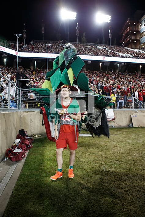 Stanford Tree Football