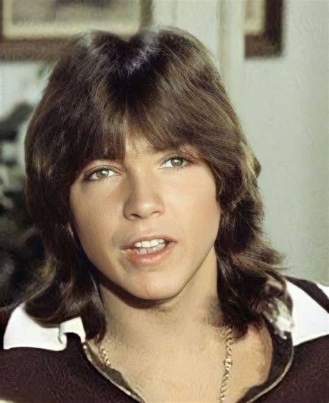 Pin By Carol F1 On David Cassidy David Cassidy Celebrities
