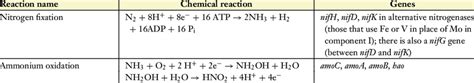 Major Oceanic Nitrogen Cycling Pathways And Relevant Genes Download Table