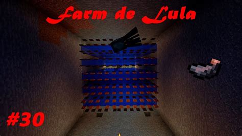 FARM DE LULA NasserBuild 30 Minecraft 1 11 2 YouTube