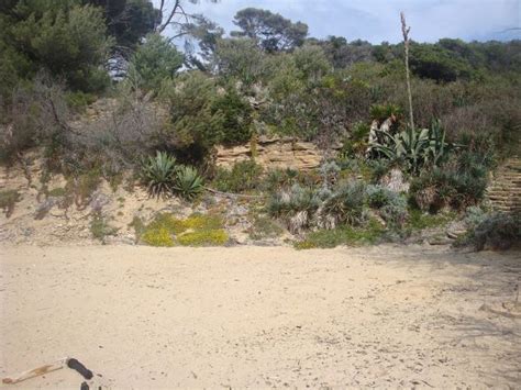 Les Grottes Le Avril Le Du Levant Domaine Naturiste D H Liopolis Cit Du Soleil