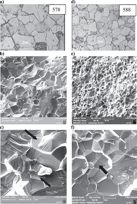 Micrographs Of Etched External Surfaces A D And Sem Fracture