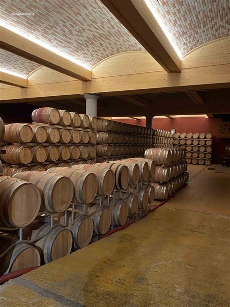 Hawaii Mom Blog Visit Sardinia Argiolas Winery Dialogo Adagio