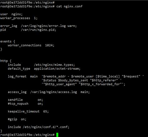 nginx docker image 內容初探