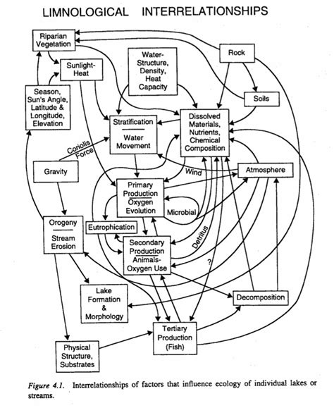 Exam Study Set Diagram Quizlet