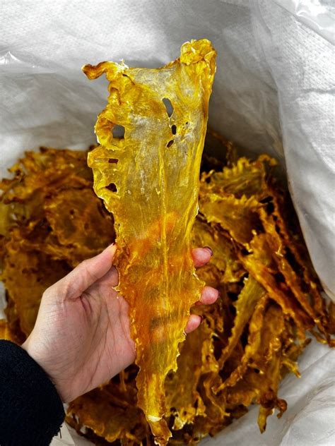 鱈魚膠 嘢食 嘢飲 其他食物及飲料 Carousell