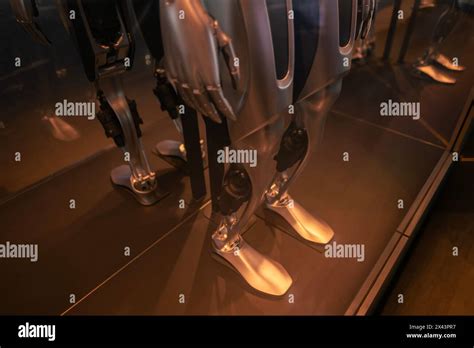 Futuristic Humanoid Robot Legs Modern Artificial Intelligence Future