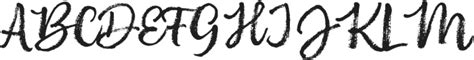 brushberry script otf 400 font script decorative what font is