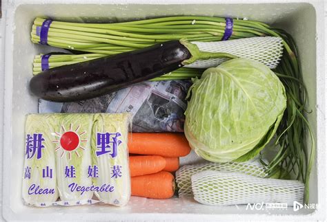 黔南温度：贵州罗甸21吨新鲜蔬菜驰援广州白云物资帮扶苏婉婷