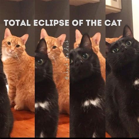 Eclipse Funny Pictures And R34 On Joyreactor