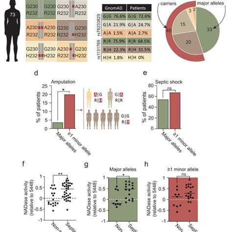 Functional Interplay Between Human Sting Genotype And Bacterial Nadase Download Scientific