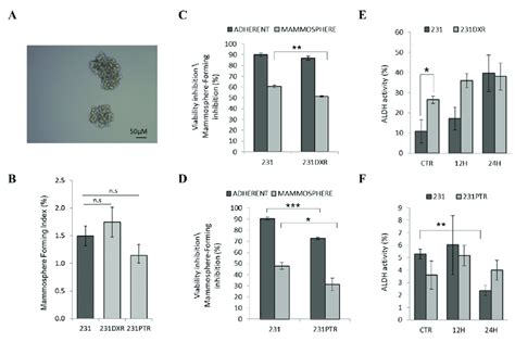 Mammosphere Forming Assay And Aldh Activity Assay In Resistant Cells