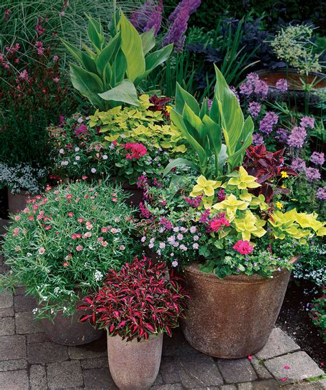 nice designs for container groupings