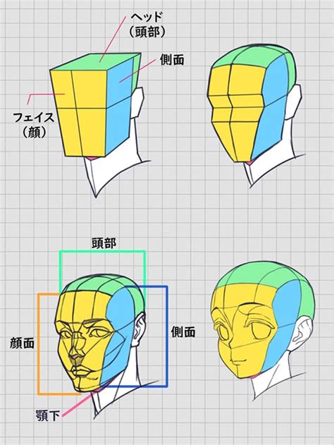 Pinterest Human Anatomy Art Human Anatomy Drawing Drawing Tutorial