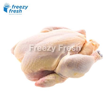 Jual Ayam Broiler Premium Per Ekor 07 08 Jakarta Pusat Freezy Fresh Tokopedia