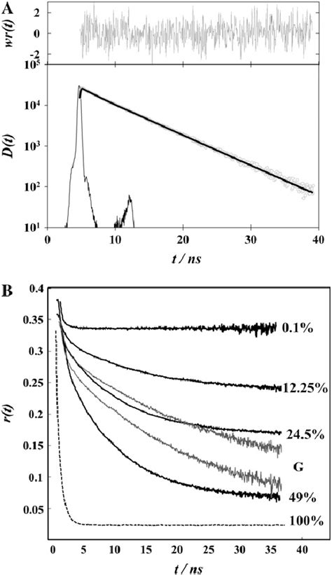 Fluorescence Depolarization Data Obtained From The Bodipylabeled