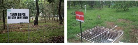 Sustainable Water Conservation Initiatives At Telkom University A