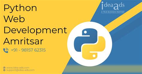 Top Python Web Development Company In Amritsar Web Designing Seo Smo