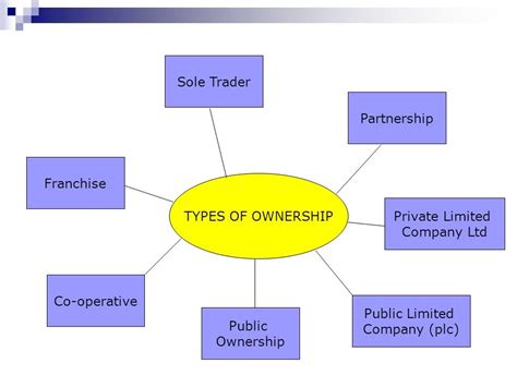 Stakeholders Business Ownership Diagram Quizlet
