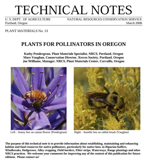 Plants For Pollinators In Oregon Cascadia Prairie Oak Partnership