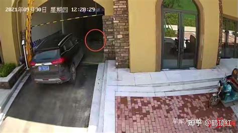 清洁工躺卧车库通道午休被碾身亡追踪：涉事司机羁押一年后，一审被判无罪 知乎