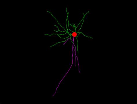 Detailed Cell Information M03 Mpfc 2