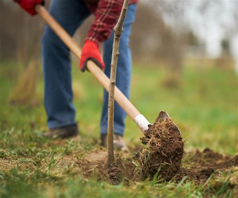 How To Avoid Buried Utility Lines When You Dig