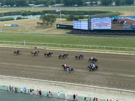 Haskell Stakes 2024 Haskell Stakes Dornoch Takes Beats Mindframe