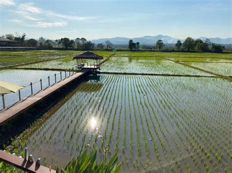 Reshma Menon On Linkedin Healthforall Hungerfornone Team