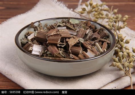 中药泽兰图片下载 红动中国