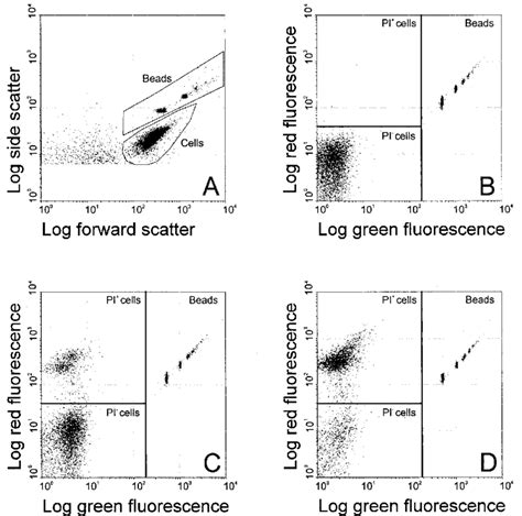 Effect Of Mutanolysin Treatment On Cell Number And Membrane