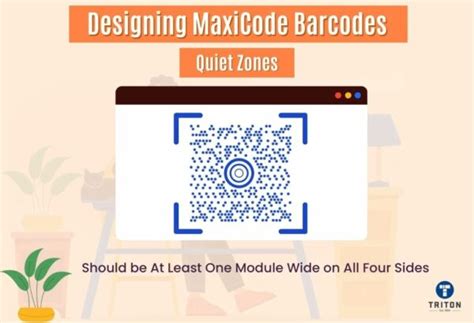 What Are MaxiCode Barcodes A Detailed Explanation