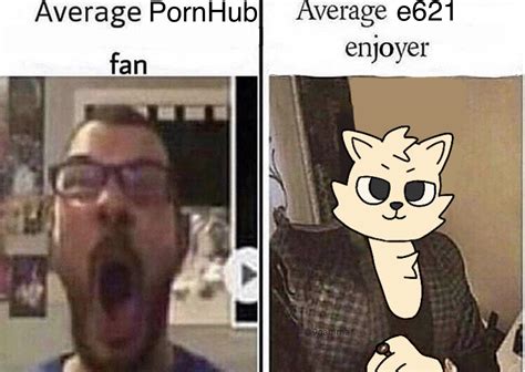 E621 Average Fan Vs Average Enjoyer Know Your Meme