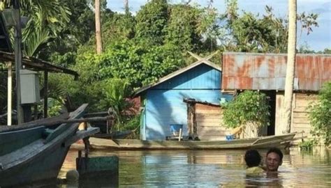 BNPB Banjir Masih Genangi Beberapa Titik Di Kabupaten Kotawaringin
