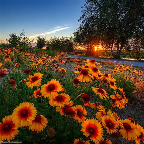 My Cute Utopia On Tumblr