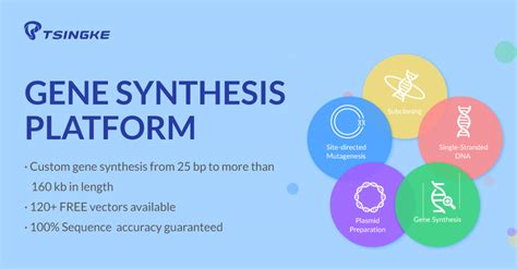 Gene Synthesis Tsingke Biotechnology Co Ltd Cphi Online